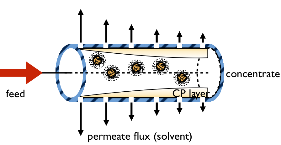 Transport Phenomena - ibi-4-research